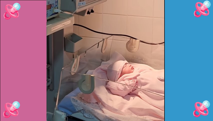 Dr. José Giuliodoro: "La incorporación de la servocuna es fundamental ...